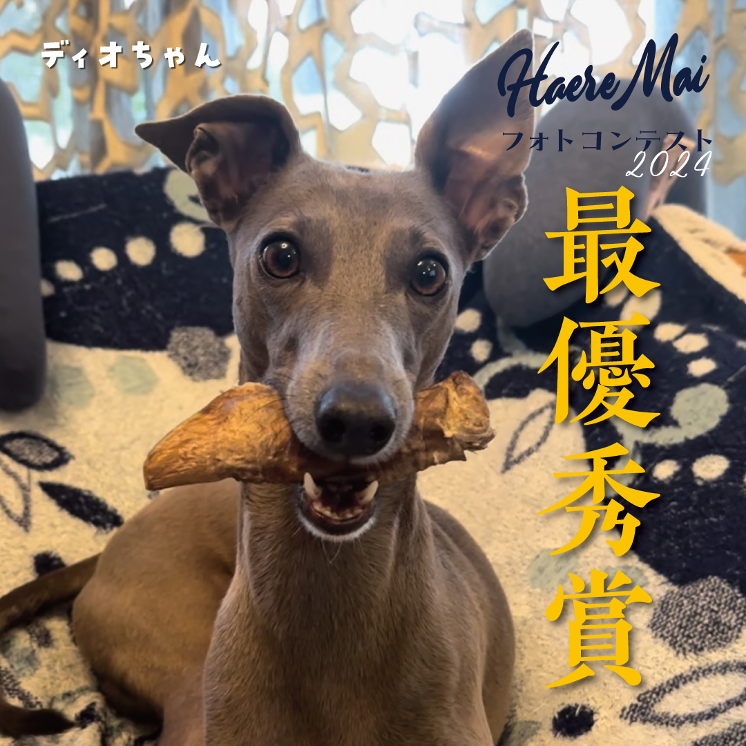 Haere Maiフォトコンテスト2024 結果発表 – BACK TO BASICS®